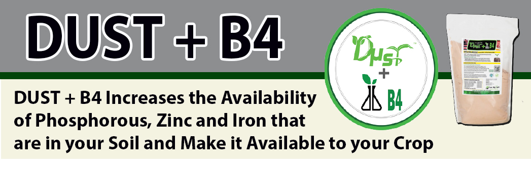 S.I. Distributing Inc....: DUST + B4