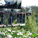 S.I. Distributing Inc....: SUPER SPONGE WEED WIPER